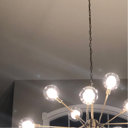 Everly Quinn Zelie 12 - Light Dimmable Sputnik Sphere Chandelier ...