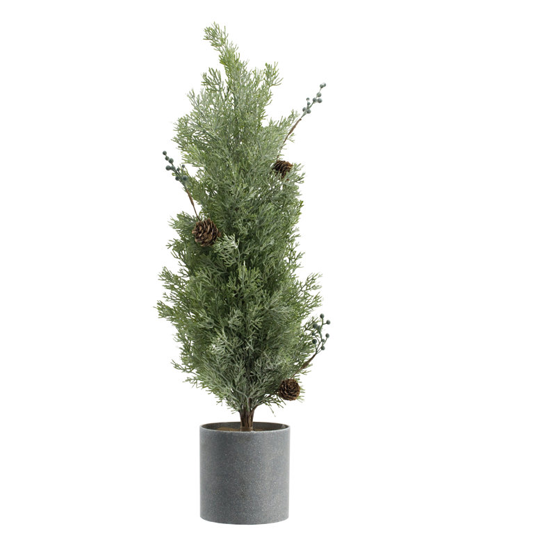 Millwood Pines Pine Tree in Pot | Wayfair