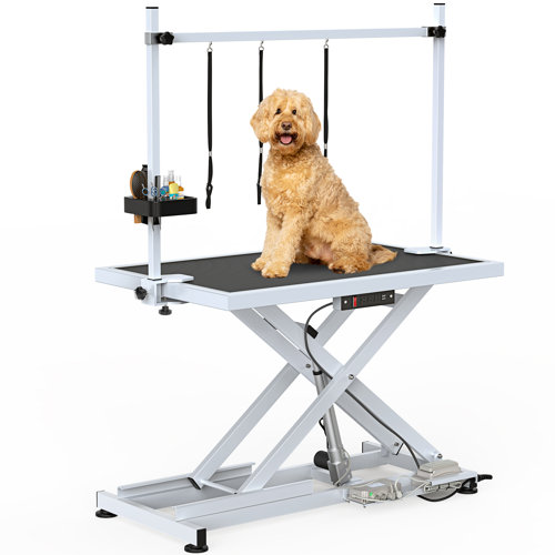 Edrosie Inc Pet Electric Grooming Table | Wayfair