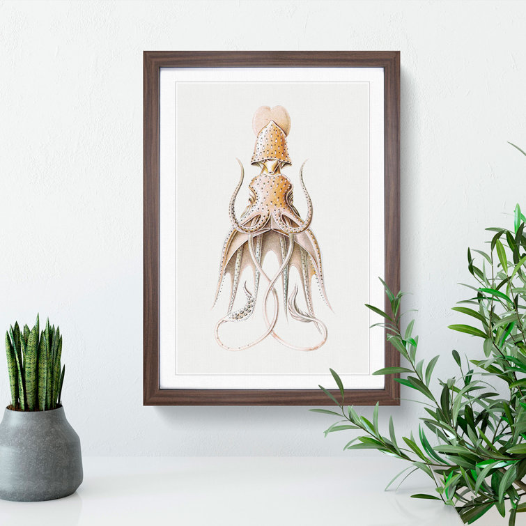 East Urban Home Vintage Squid Vol.2 by Ernst Haeckel - Picture Frame ...
