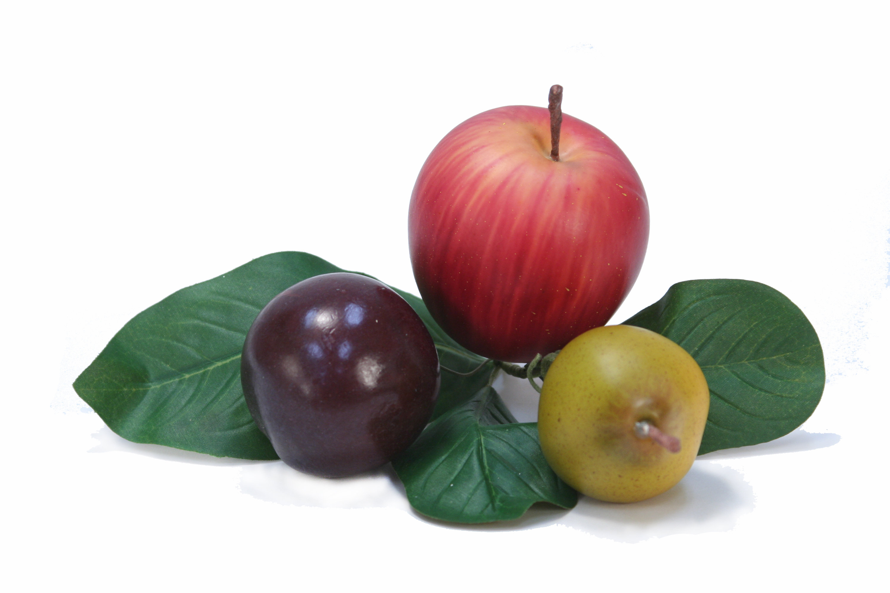 Primrue Mixed Stem | Wayfair