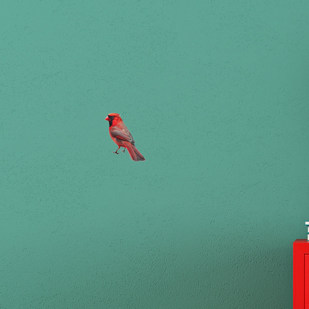 Charlton Home® Real Life Cardinal Wall Decal | Wayfair