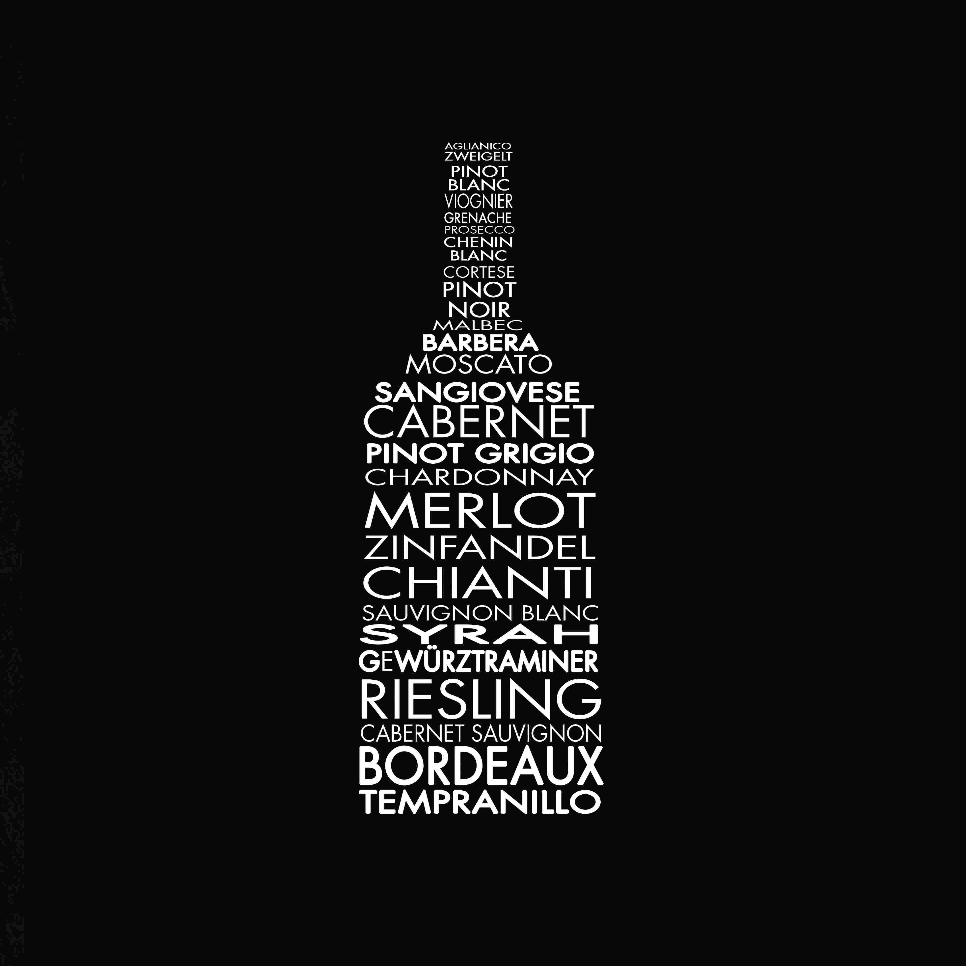 Trinx Wine Bottle Names - Wrapped Canvas Graphic Art | Wayfair