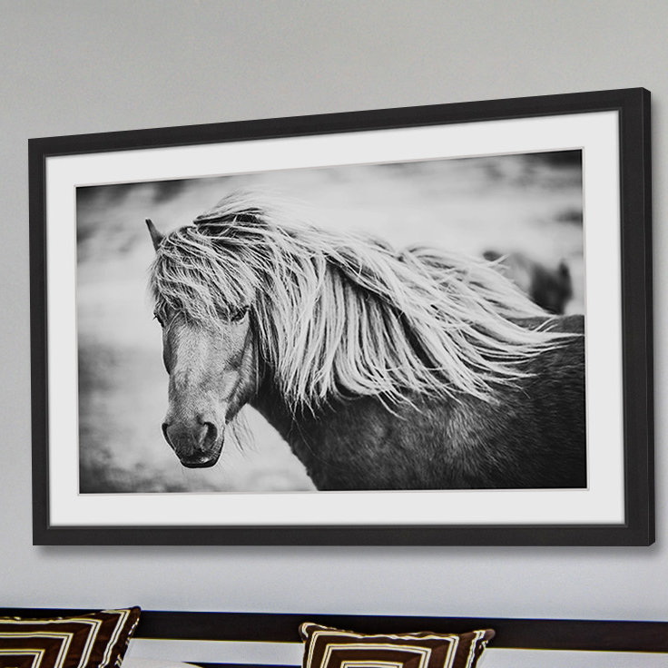 Marmont Hill Beautiful Mane - Picture Frame Photograph & Reviews | Wayfair