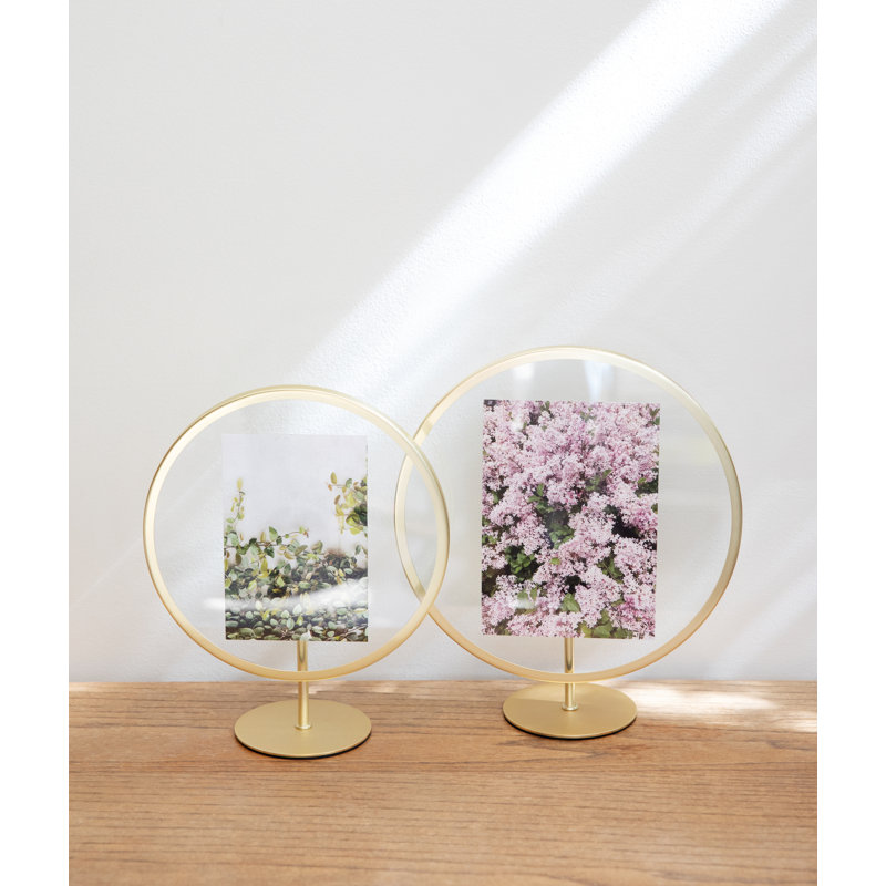 Umbra Infinity Photo Display Picture Frame & Reviews | Wayfair
