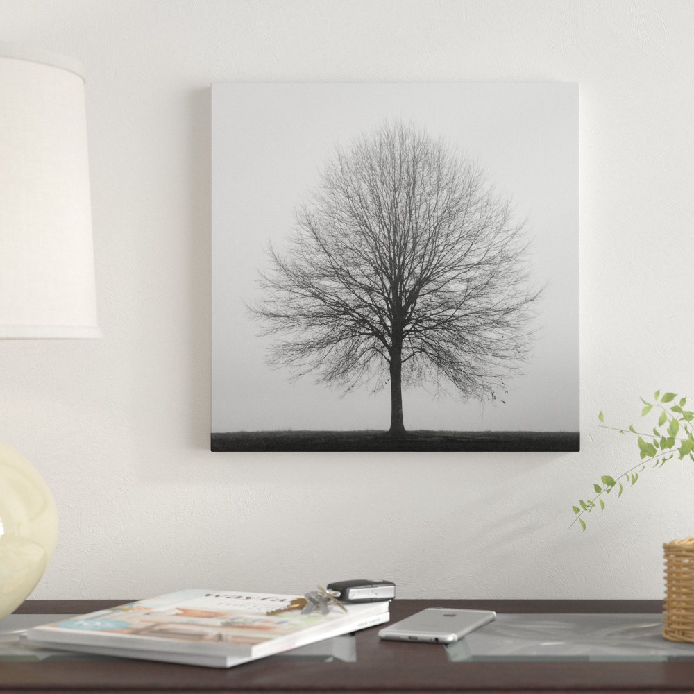 Winston Porter Winter Trio 1 by Nicholas Bell Photography - Photograph ...