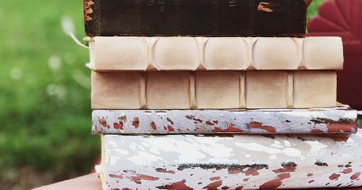 Leather Books 5 Piece Hide Metallic Decorative Book Set | Perigold