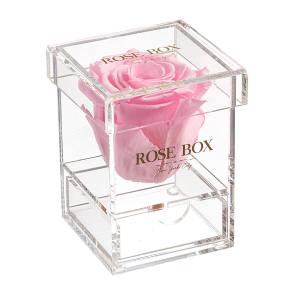 Rose Box NYC Single Rose Floral Arrangement in Jewelry Box | Wayfair