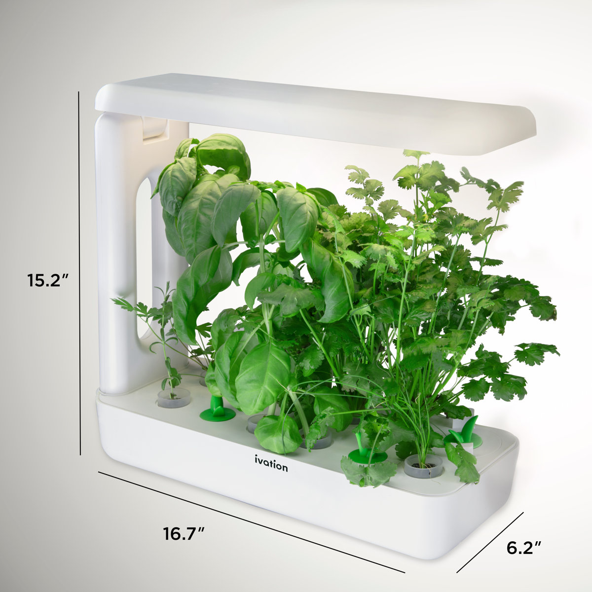 Ivation Herb Indoor Garden Growing Kit & Reviews | Wayfair