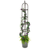 Wayfair | Trellis Trellises You'll Love in 2022