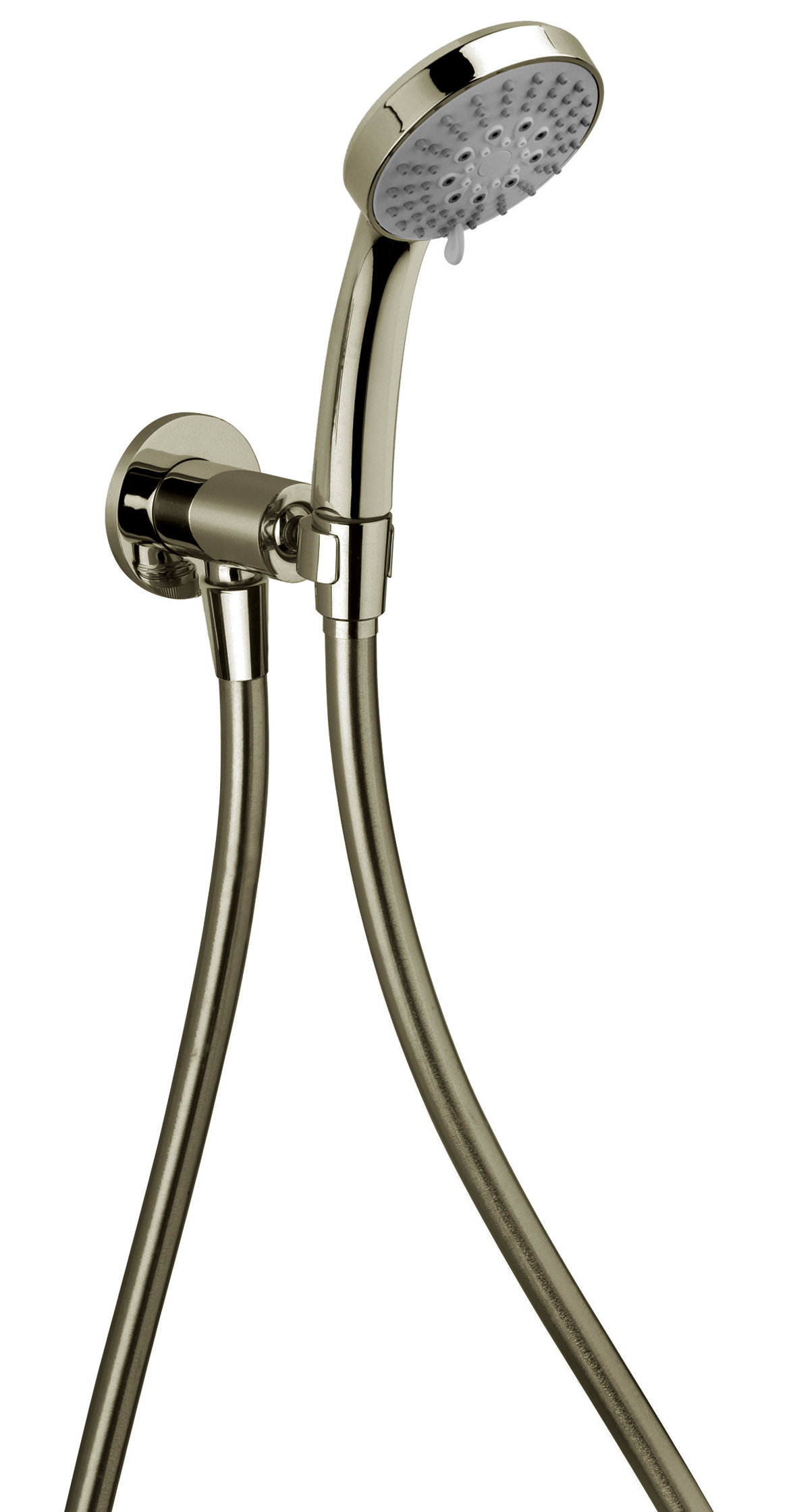 LaToscana Flood Handheld Shower Head | Wayfair