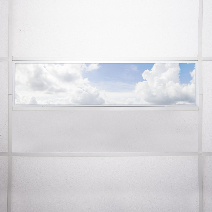 Octo Lights Clouds Flexible Decorative Light Cover | Wayfair