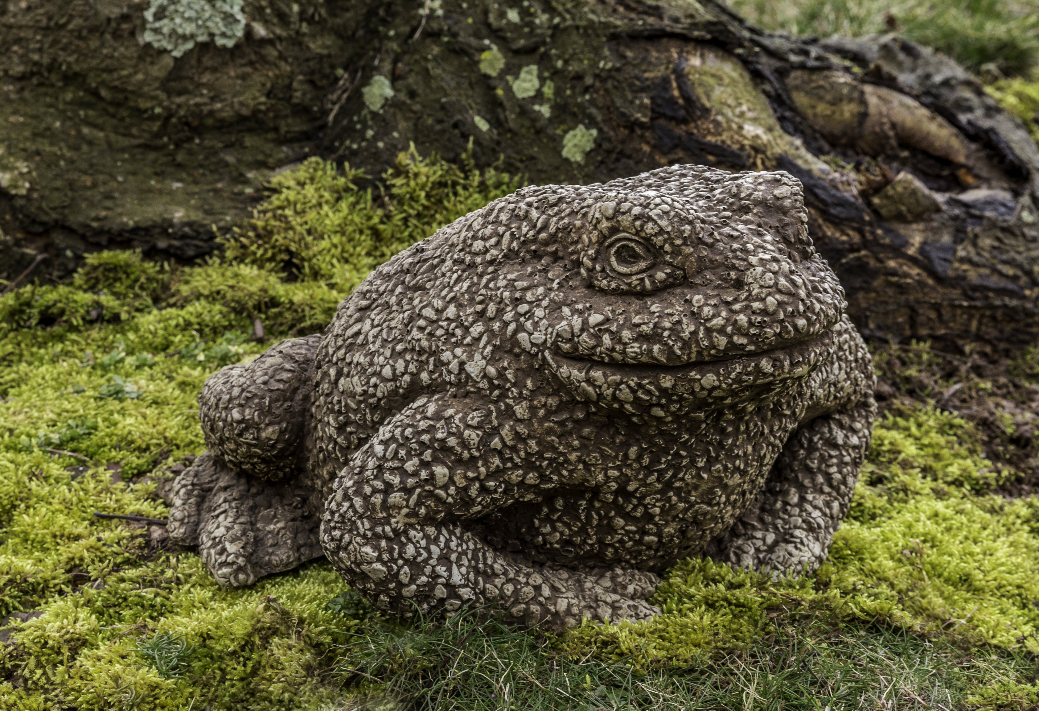 August Grove® Armstrong Forest Toad Statue & Reviews | Wayfair