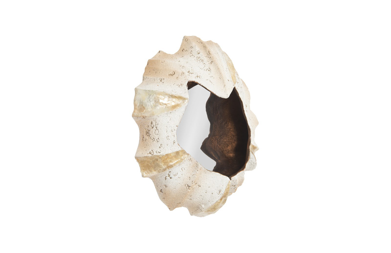 Rosecliff Heights Barnacle Wall Décor | Wayfair