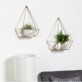 Gold Wall & Display Shelves You'll Love | Wayfair.ca