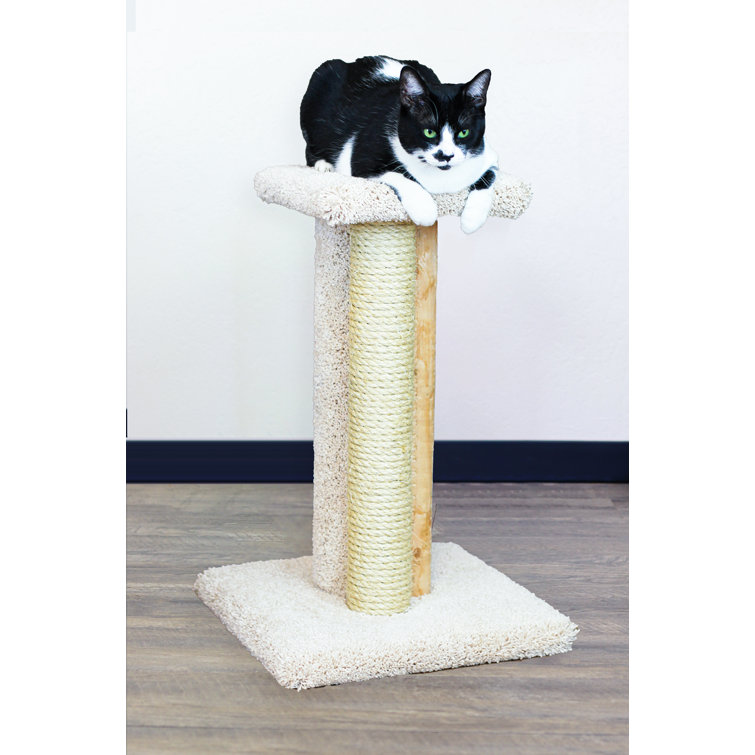 New Cat Condos 24" Premier Triple Cat Tree & Reviews - Wayfair Canada