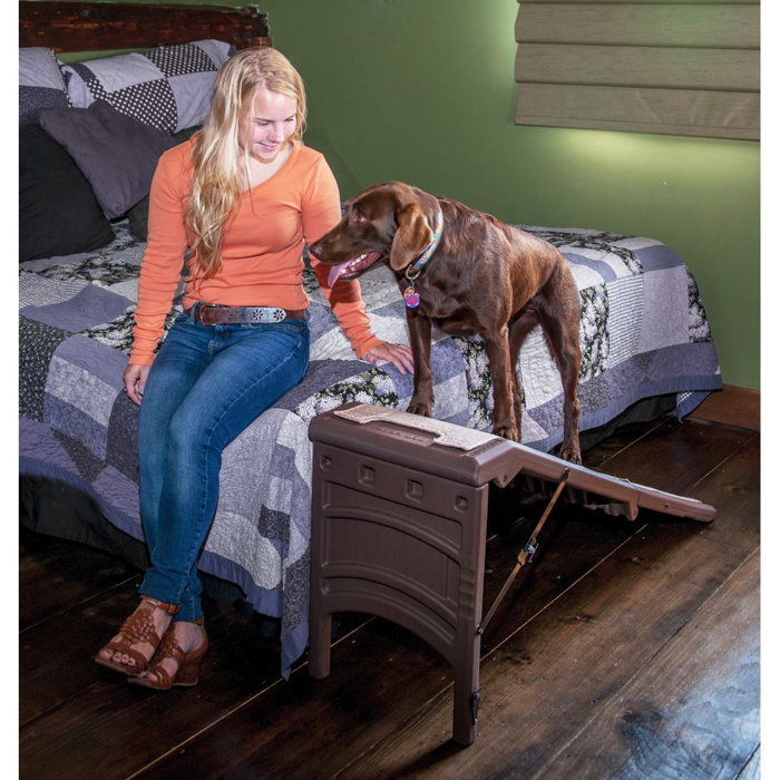 Pet Gear Free Standing 56" Pet Ramp & Reviews | Wayfair