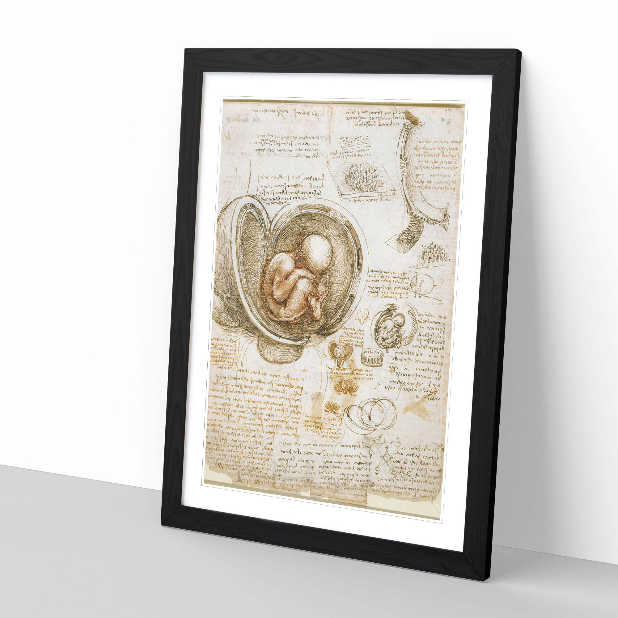 East Urban Home Leonardo Da Vinci - Picture Frame Art Prints | Wayfair ...