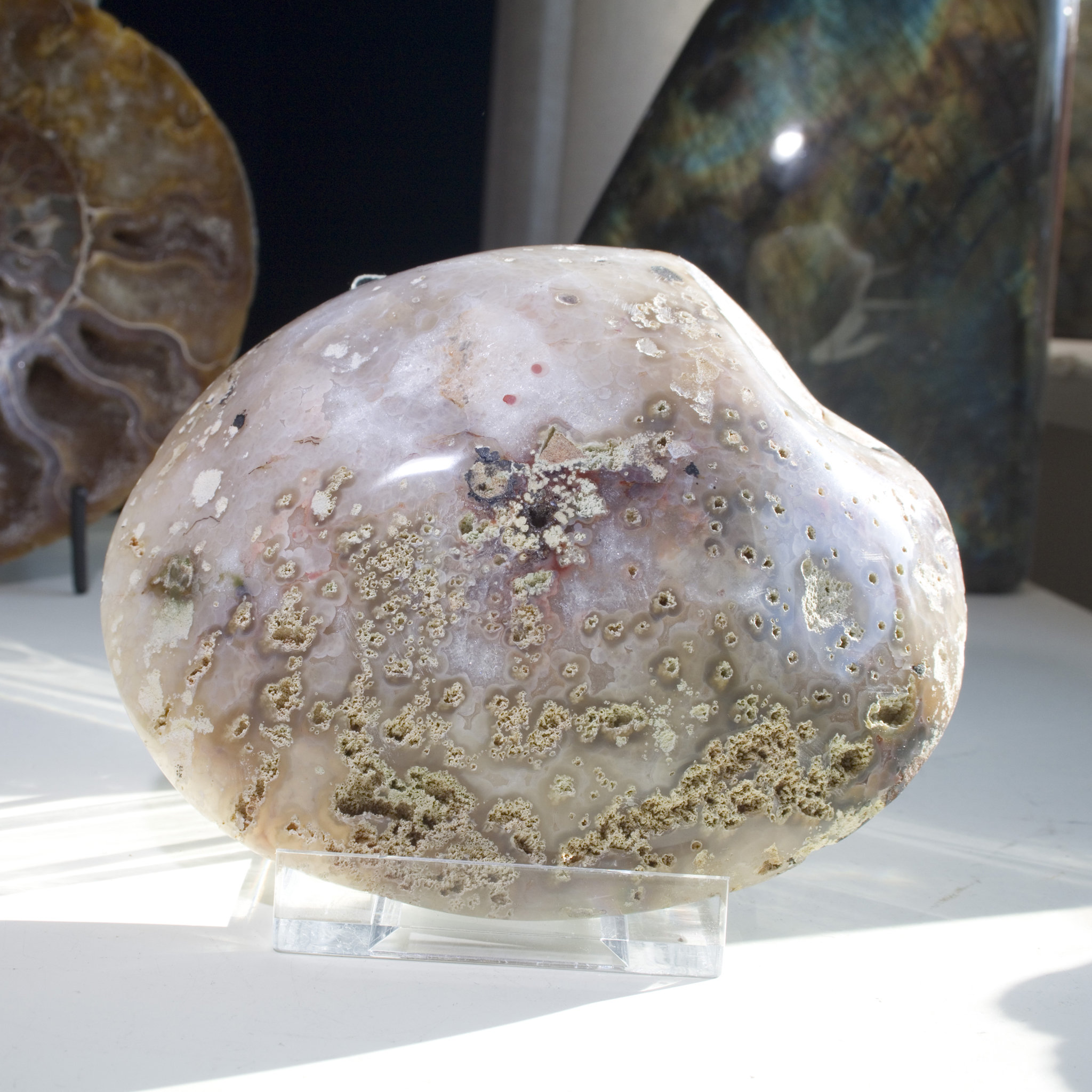 Brayden Studio® Polished Amethyst Geode | Wayfair