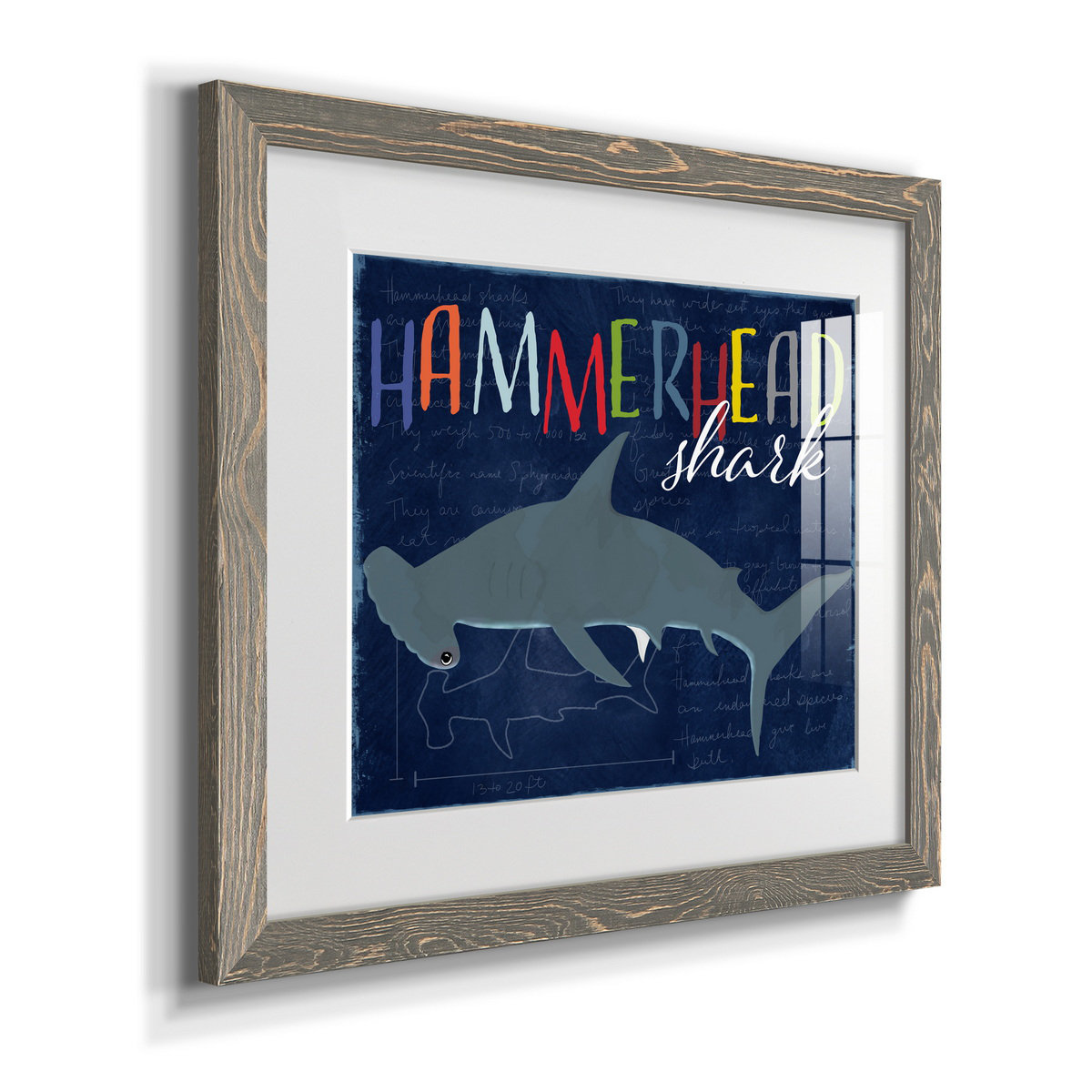 Sunside Sails Hammerhead Shark - Picture Frame Print | Wayfair