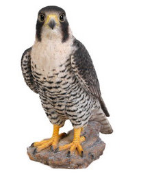 Hi-Line Gift Ltd. Peregrine Falcon Statue & Reviews | Wayfair