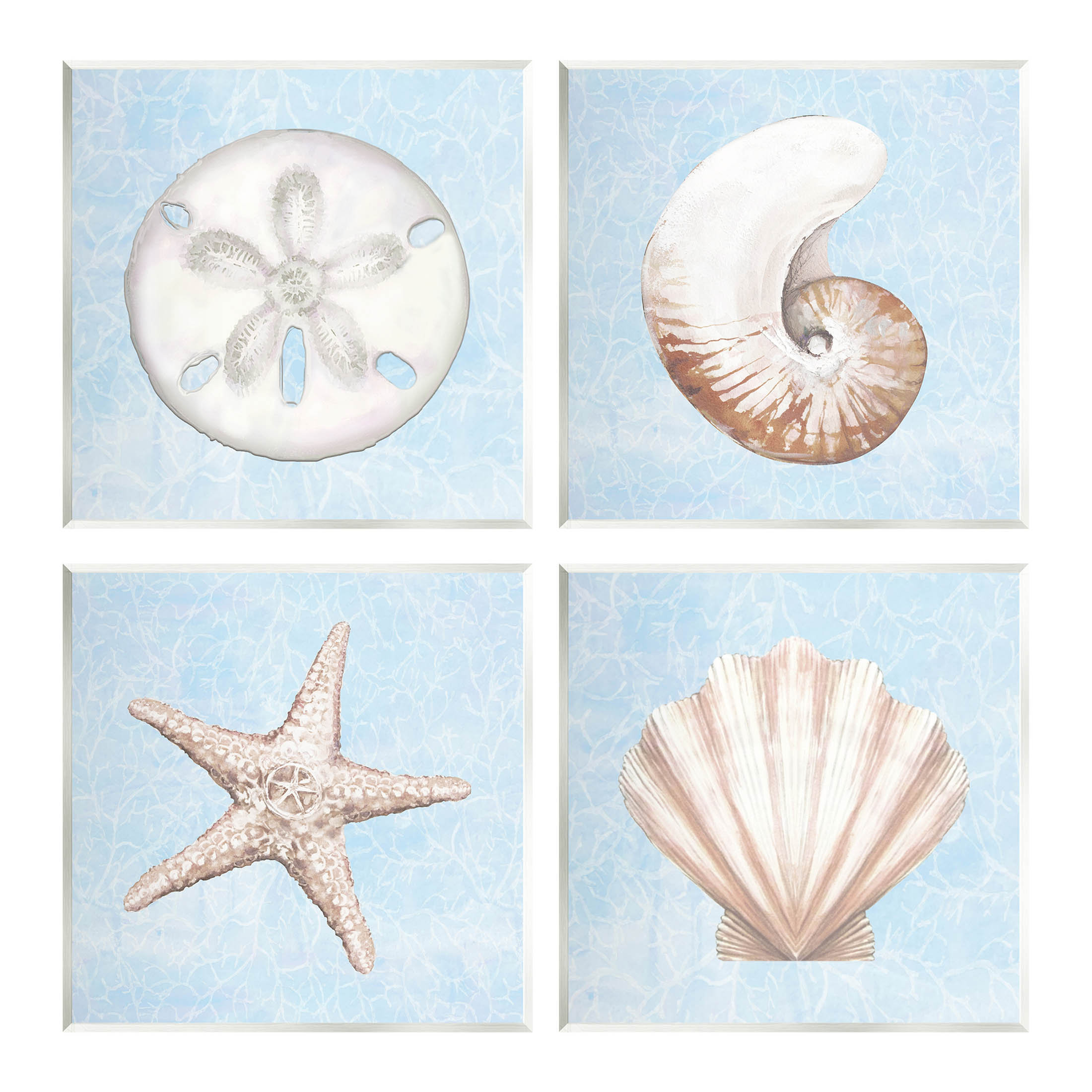 Dovecove Water Patterned Sea Life Shells by - 4 Piece Floater Frame ...