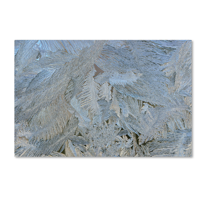Trademark Art 'Frost Pattern #5' Photographic Print on Wrapped Canvas ...