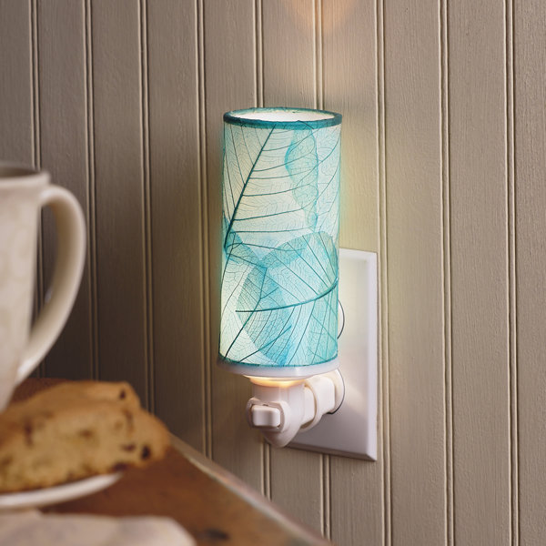 Eangee Home Design Cylinder Night Light & Reviews | Wayfair