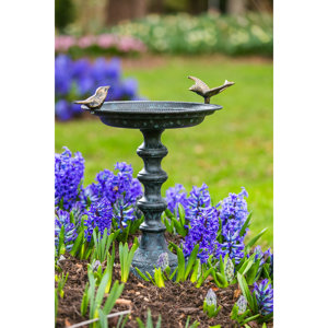 Wayfair | Bird Baths You'll Love in 2023