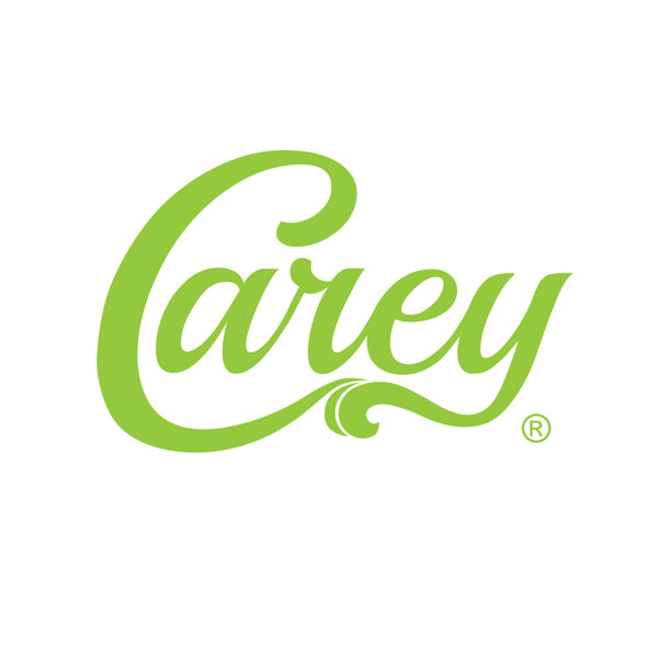Carey | Wayfair
