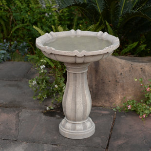 Wayfair | Bird Baths You'll Love in 2022