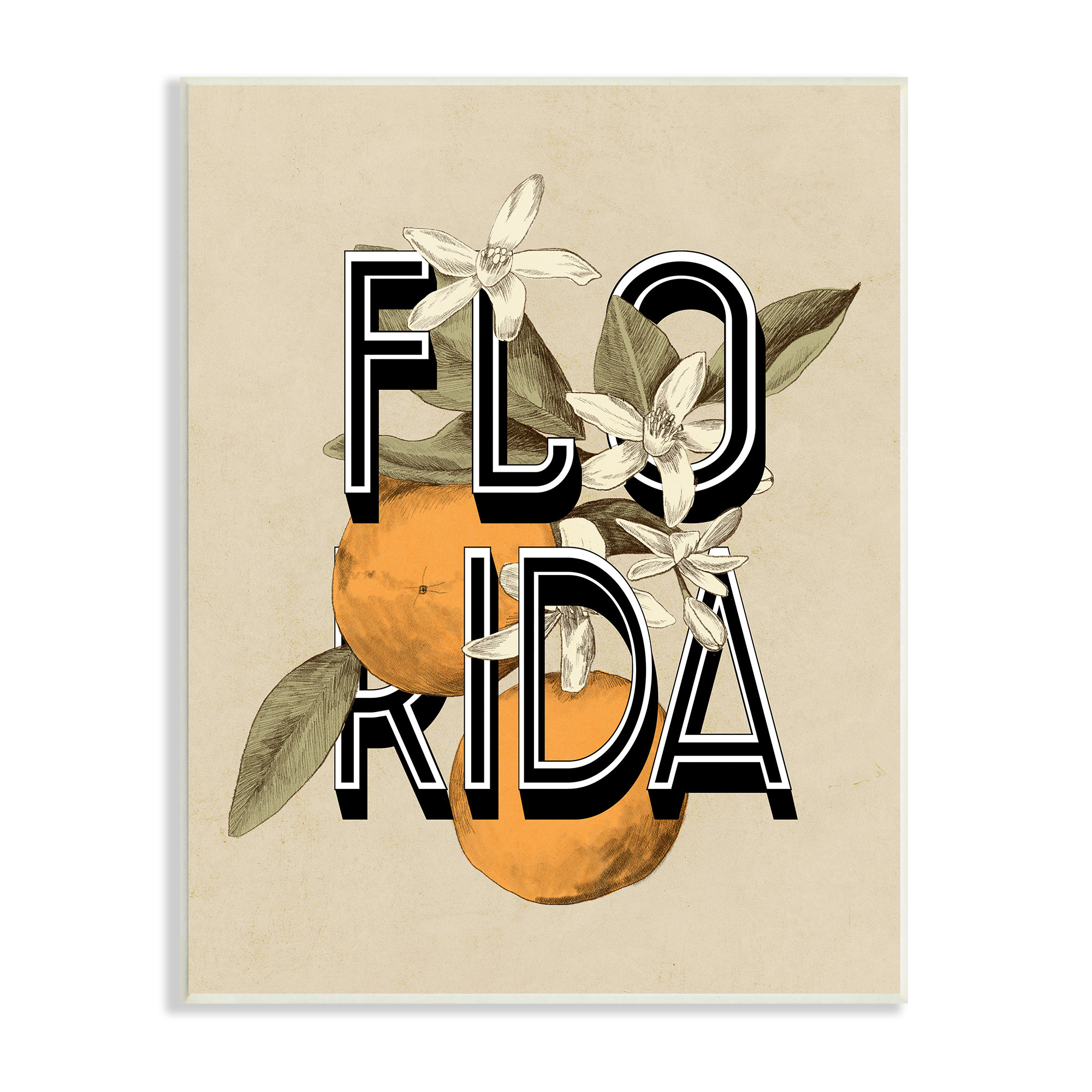 Stupell Industries Florida Orange Blossoms State Flower Typography by ...
