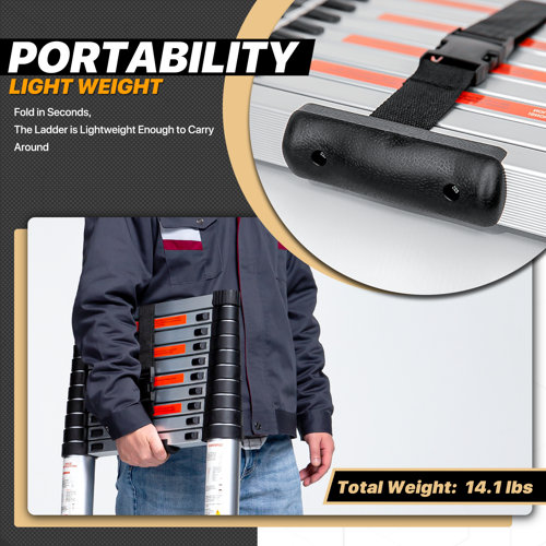 WFX Utility™ Jacksonview 10.6Ft Aluminum Telescoping Ladder, 330lbs ...