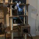 Go Pet Club 72" Leopard Cat Tree & Reviews | Wayfair