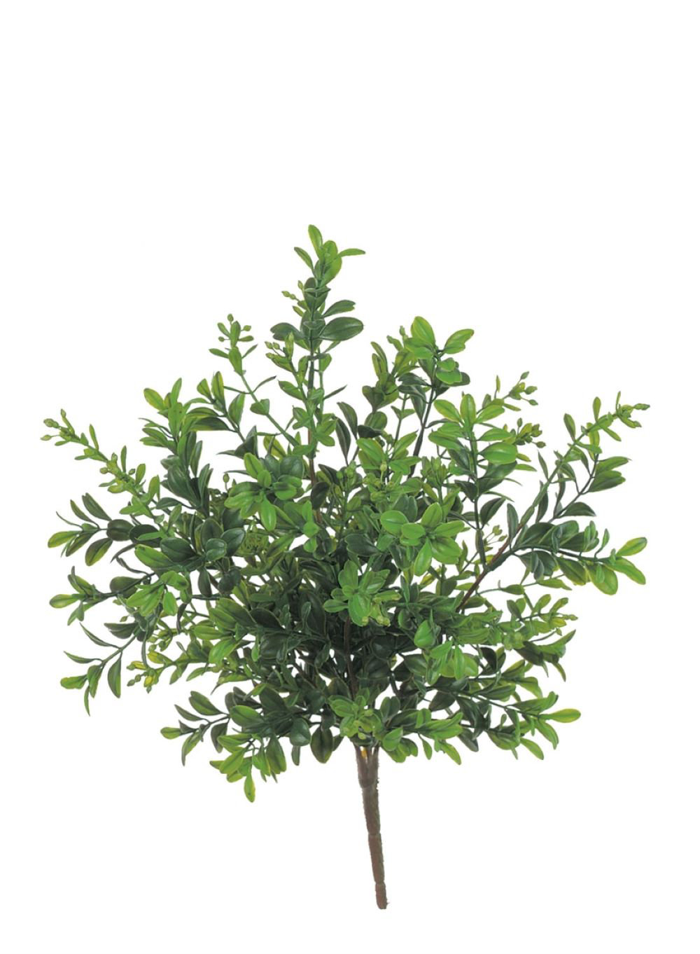 Gracie Oaks Faux Boxwood Plant | Wayfair
