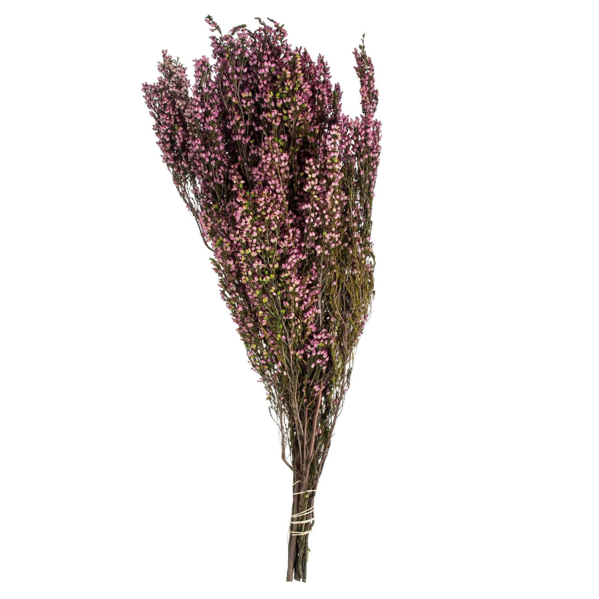 Primrue Pink Heather (Erica) Floral Arrangement | Wayfair