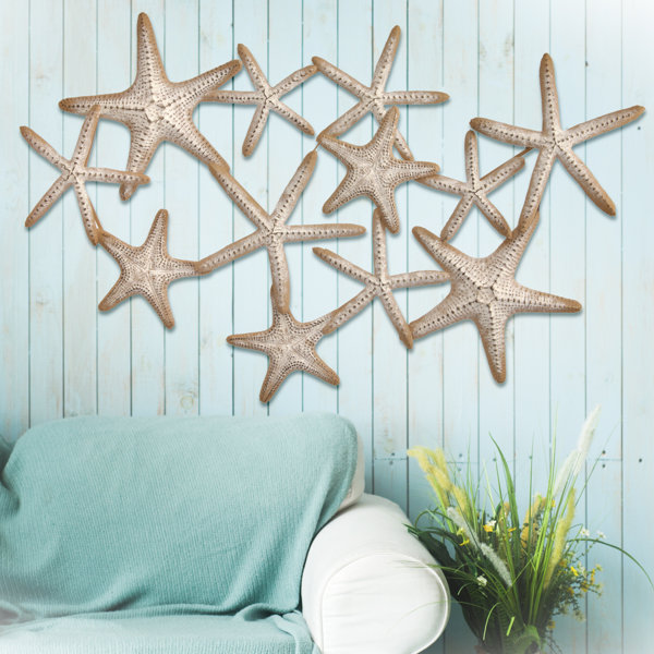 Beachcrest Home Starfish Wall Décor & Reviews | Wayfair