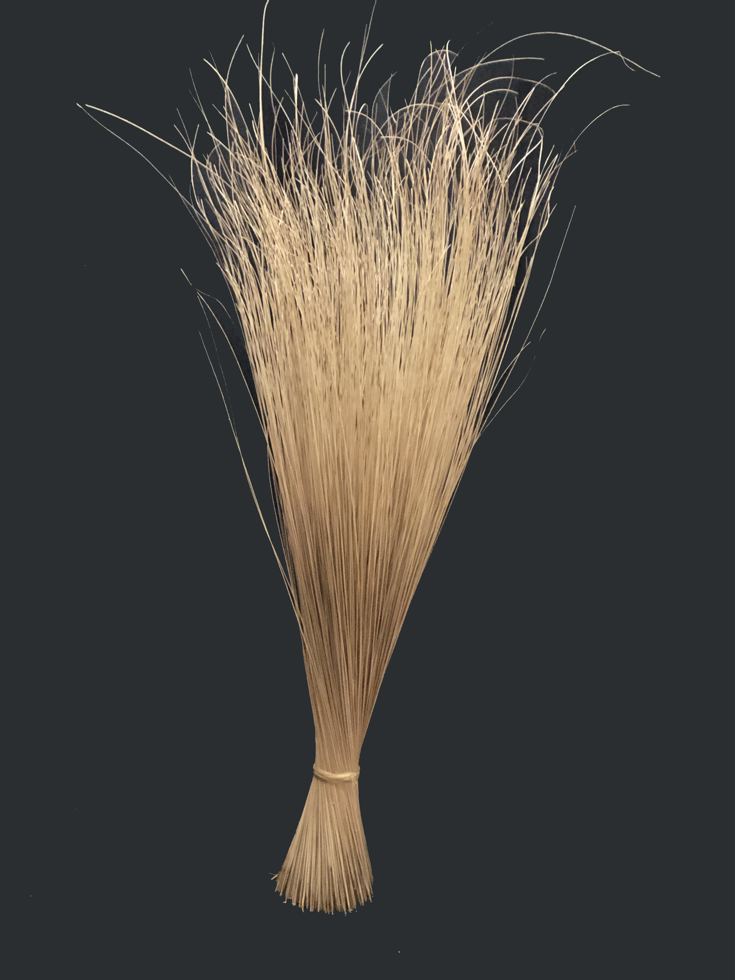 Primrue Coco Midrib Decorative Sticks | Wayfair