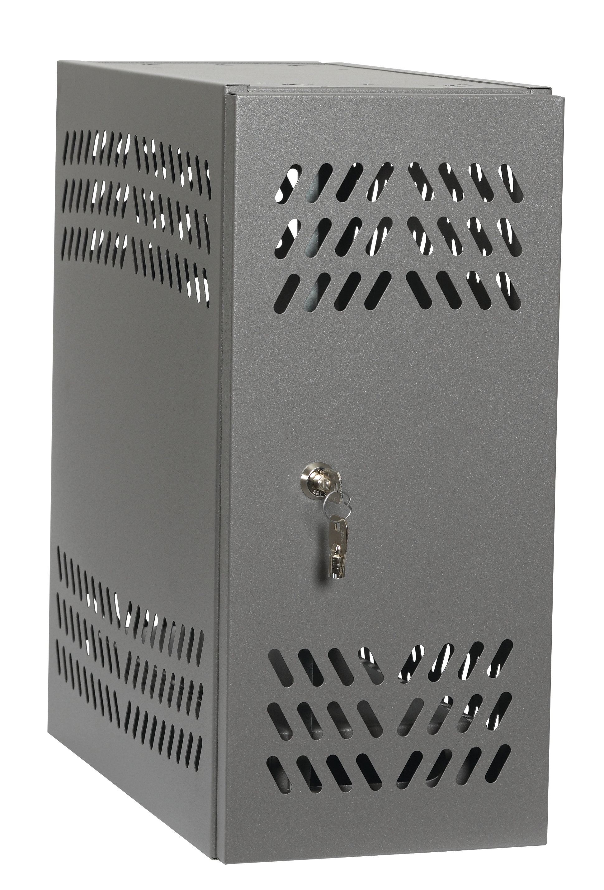 Datum Storage CPU Locker | Wayfair