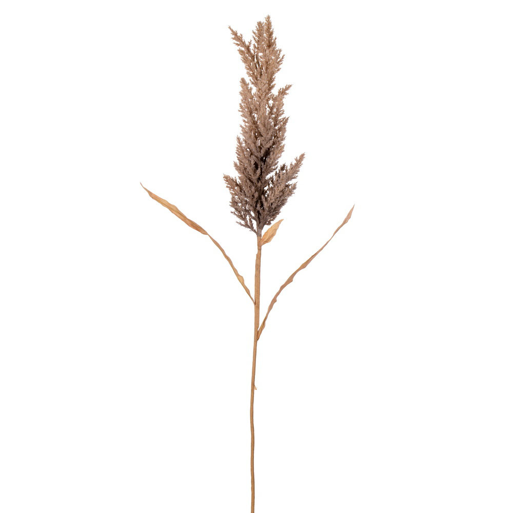 AllModern 36'' Faux Reed Plant | Wayfair