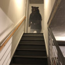 Advanced Graphics Brown Bear Cardboard Stand-Up & Reviews | Wayfair