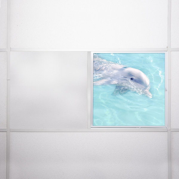 Octo Lights Ocean Flexible Decorative Light Cover | Wayfair