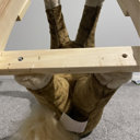 Harriet Bee Susana Rocking Horse & Reviews | Wayfair.co.uk