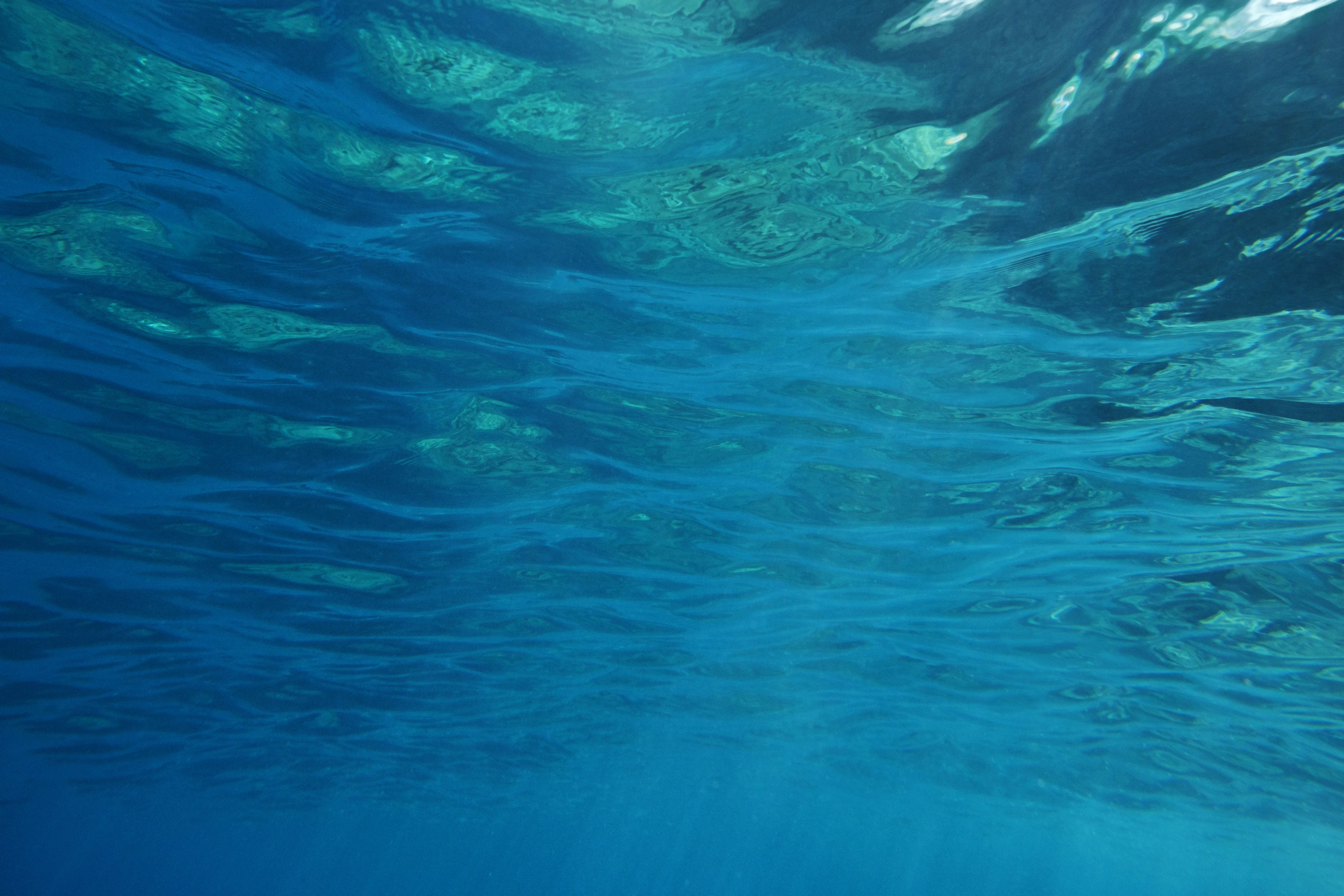 House of Hampton Underwater Surface Texture | Wayfair.co.uk