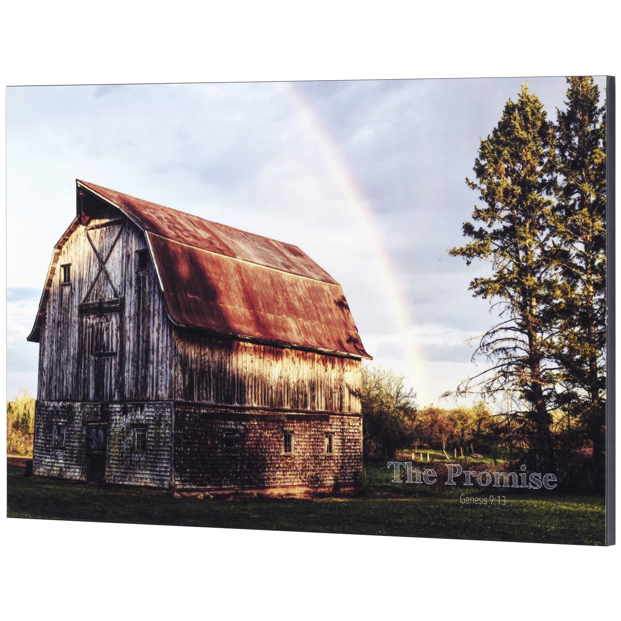 Gracie Oaks The Promise Genesis Wall Decor | Wayfair