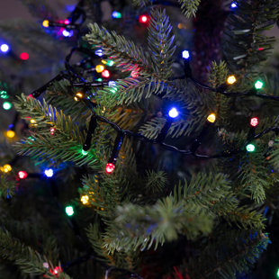 Battery Operated String Lights you'll Love in 2021 | Wayfair