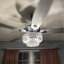 Etta Avenue™ 52'' Rafferty 5 - Blade Crystal Ceiling Fan with Remote ...