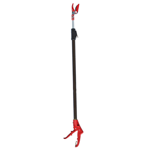 Zenport Telescopic Long Reach Pruner & Reviews | Wayfair