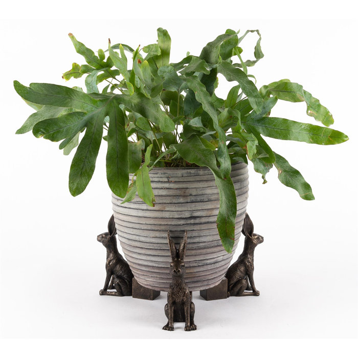 Brambly Cottage Kinley Planter Feet | Wayfair.co.uk
