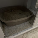 Red Barrel Studio® Ascensin Wood Litter Box Enclosure & Reviews | Wayfair